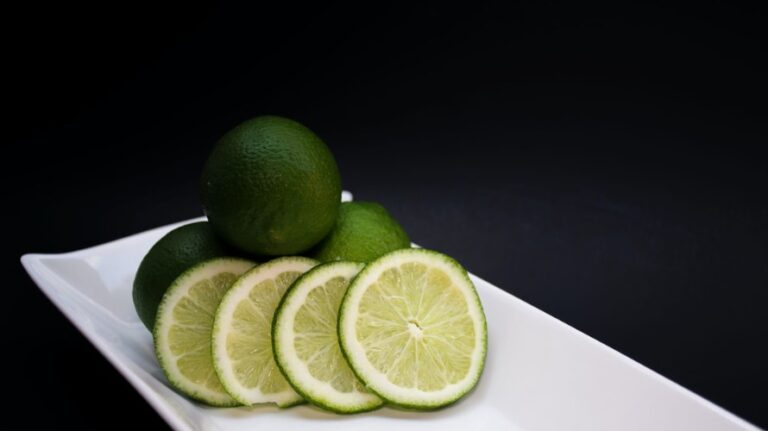 Pytorch – SqueezeNet の仕組みと実装について解説 | pystyle